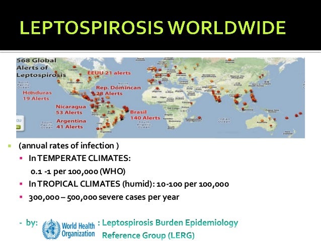 LEPTOSPIROSIS (Preventive Medicine)