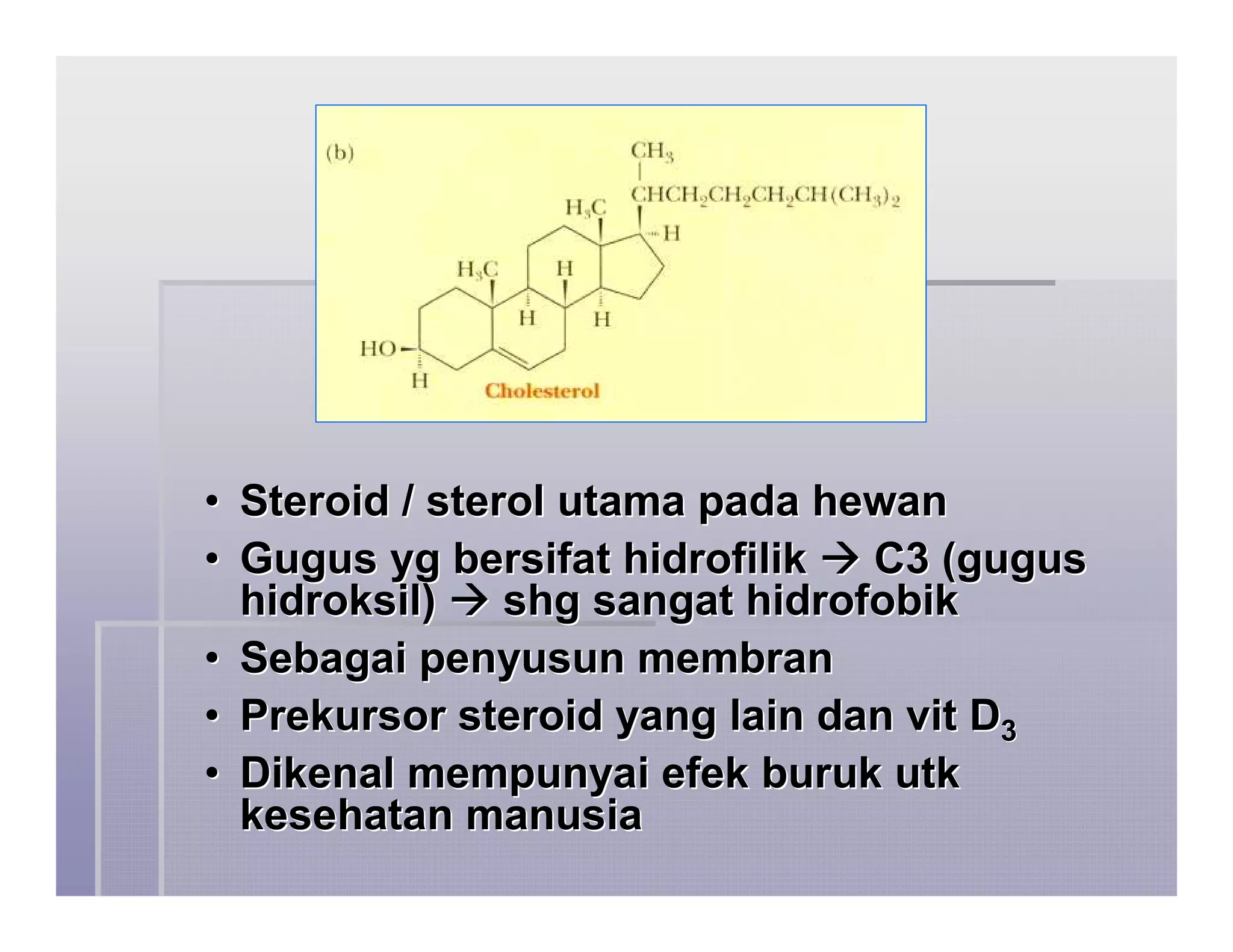 lipid | PPT