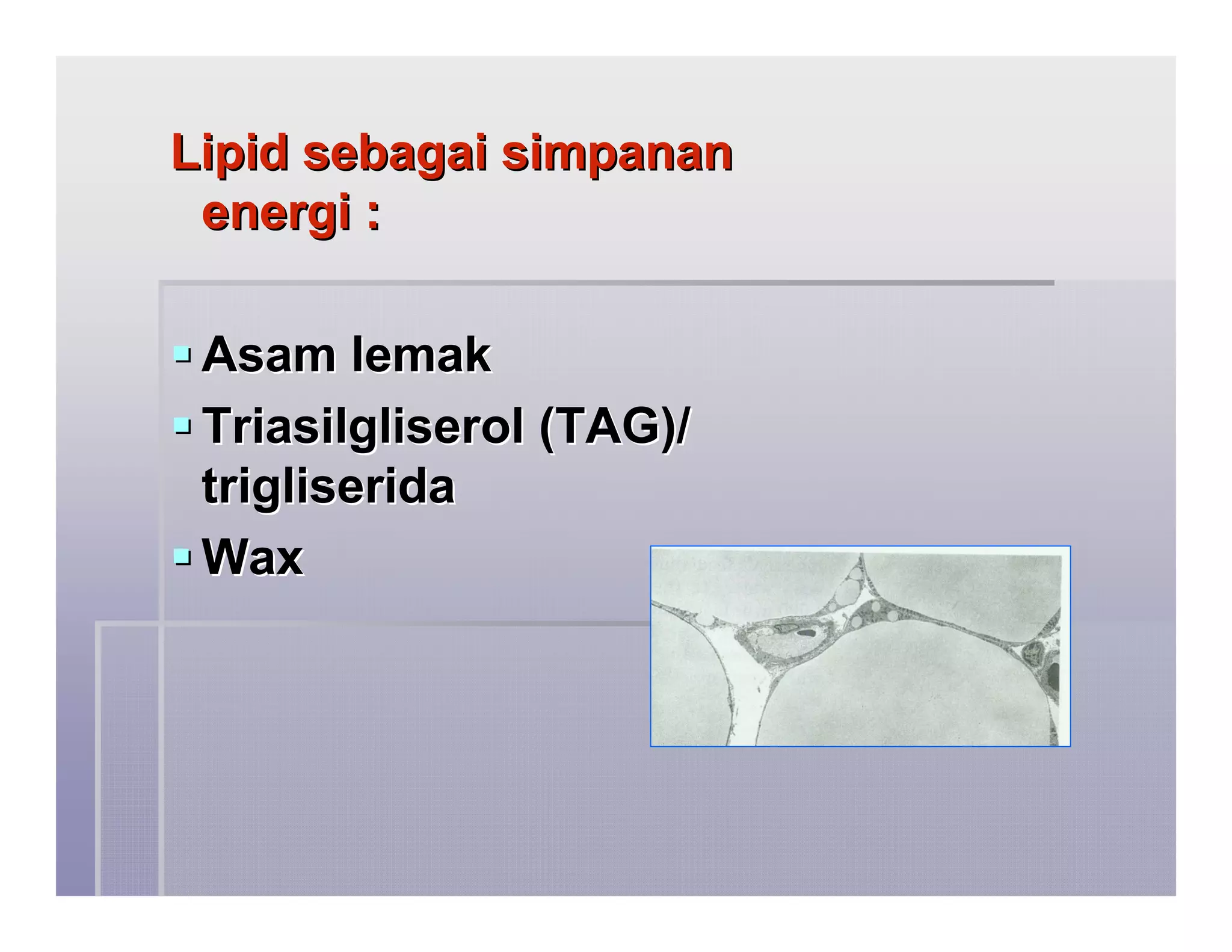 lipid | PPT