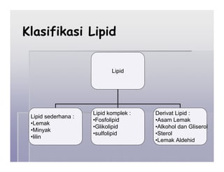 lipid | PDF