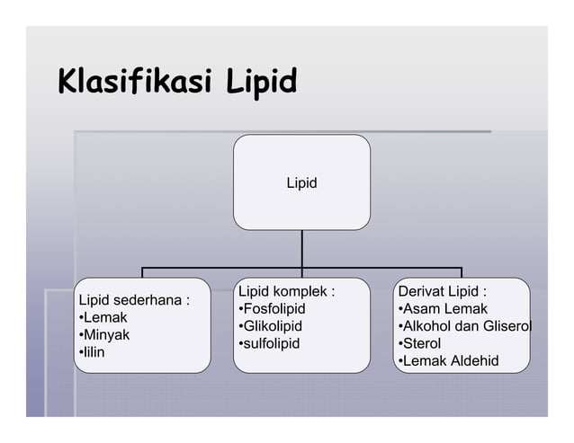lipid | PPT
