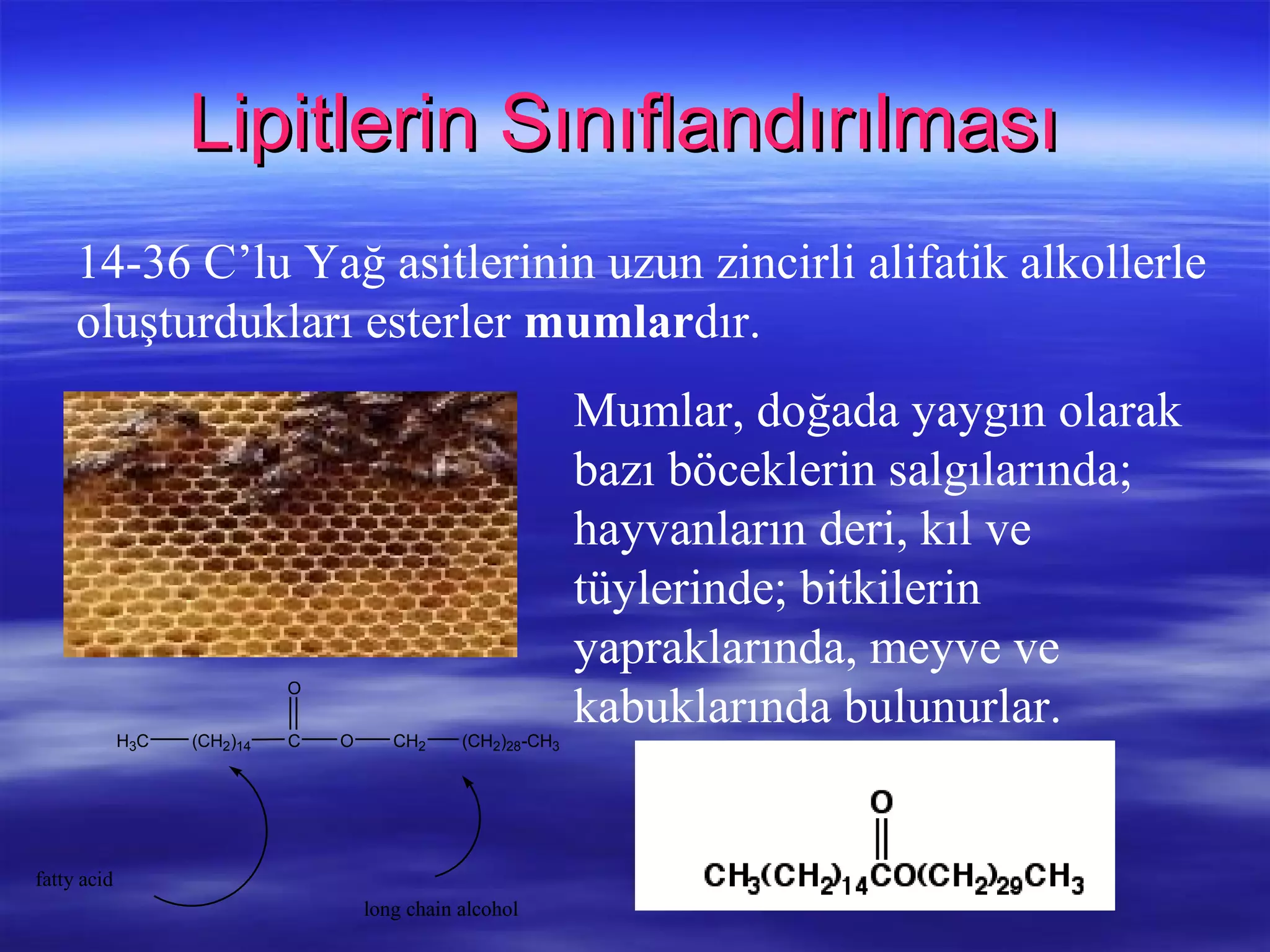 1 li̇pi̇dlere gi̇ri̇ş ve yağ asi̇tleri̇ son | PPT