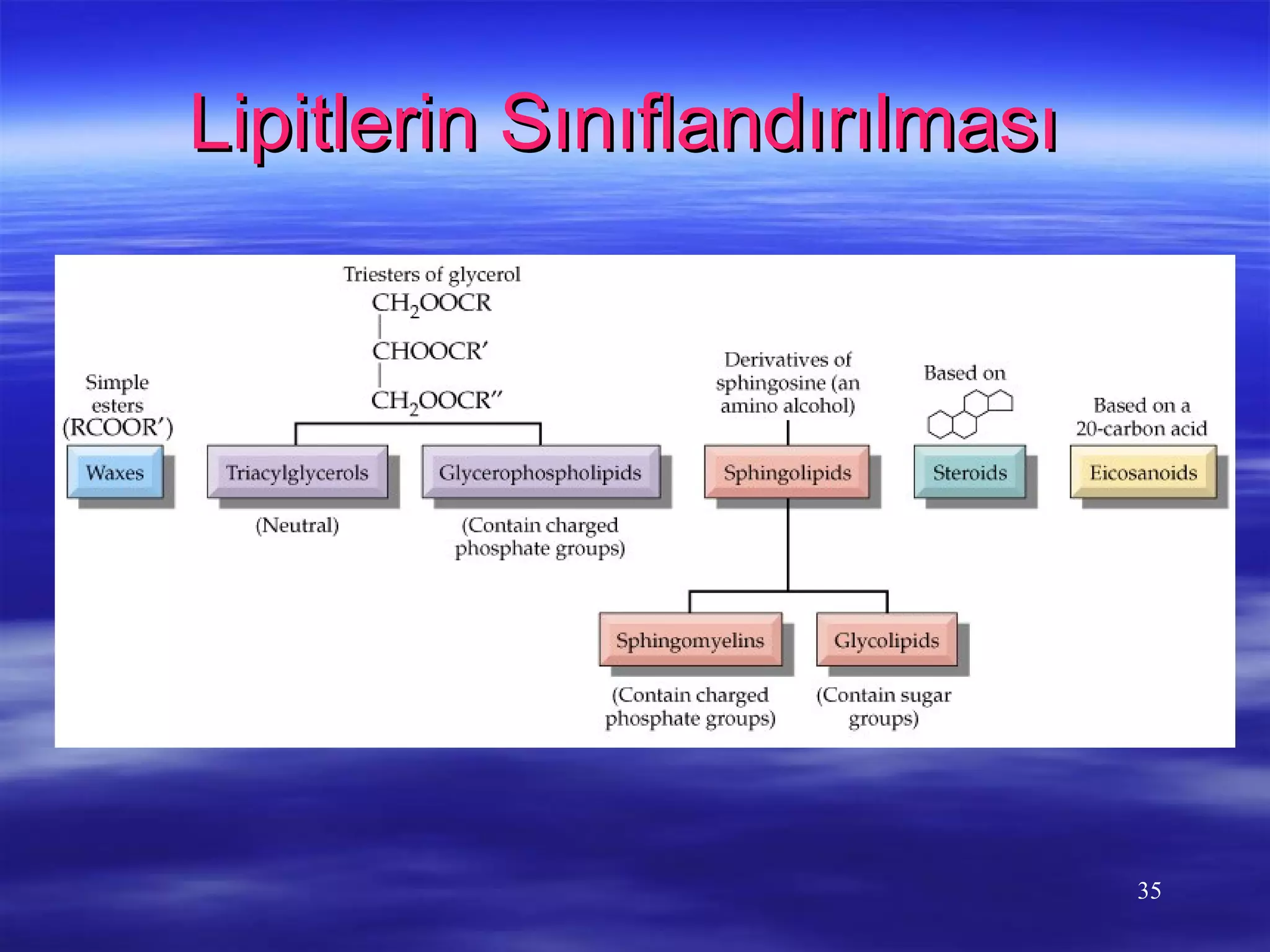 1 li̇pi̇dlere gi̇ri̇ş ve yağ asi̇tleri̇ son | PPT