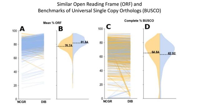 Lisa Johnson at #ICG13: Re-assembly, quality evaluation, and annotation ...