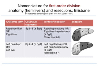 Liver anatomy and terminology, in brief, 2018, by R. Lunevicius | PPT