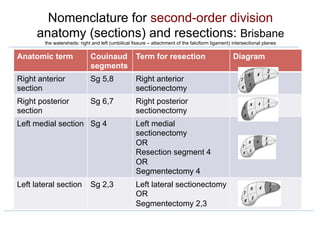 Liver anatomy and terminology, in brief, 2018, by R. Lunevicius | PPT