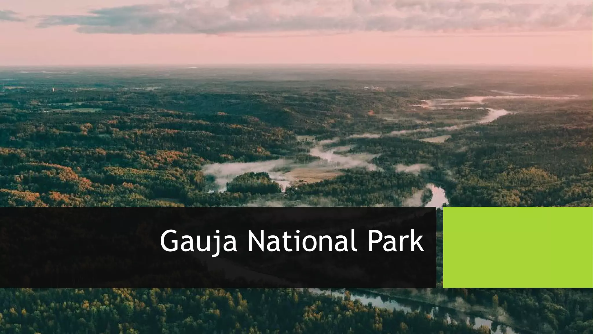 1 - Local Sustainable Energy-Inese Suija.pdf