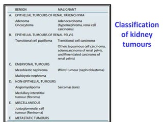 TUMOURS OF KIDNEY | PPTX