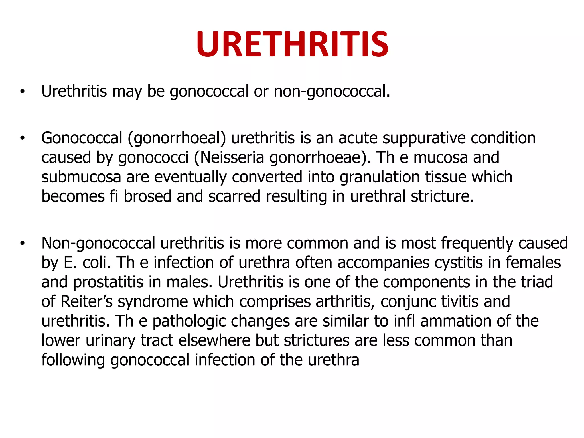 LOWER URINARY TRACT | PPTX