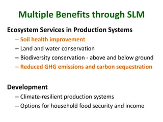 Mohamed Imam BAKARR "Sustainable land management in the Global ...