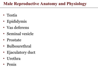 1-Male Reproductive.ppt Free downloadddf | PPT