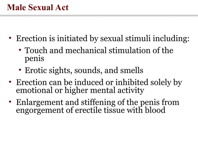 1 Male Reproductive Ppt Free Downloadddf Ppt