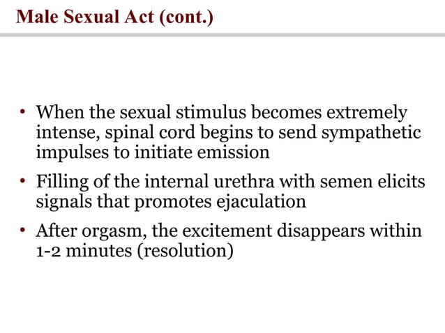 1 Male Reproductive Ppt Free Downloadddf Ppt