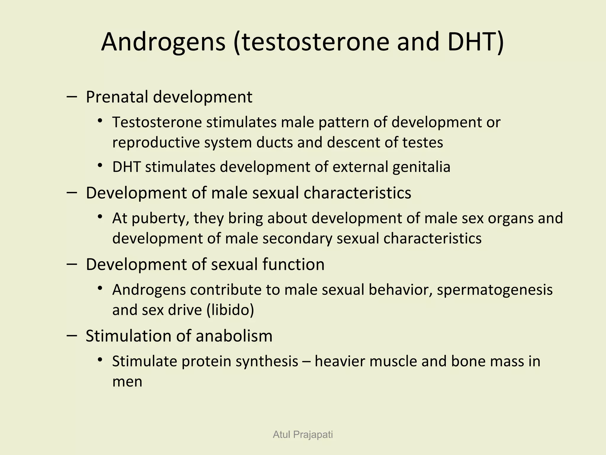 Male reproductive system | PPT