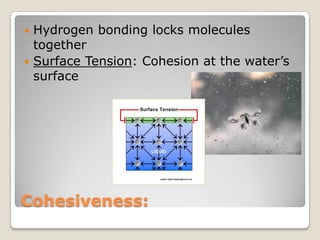 1. Marine Water Notes | PPT