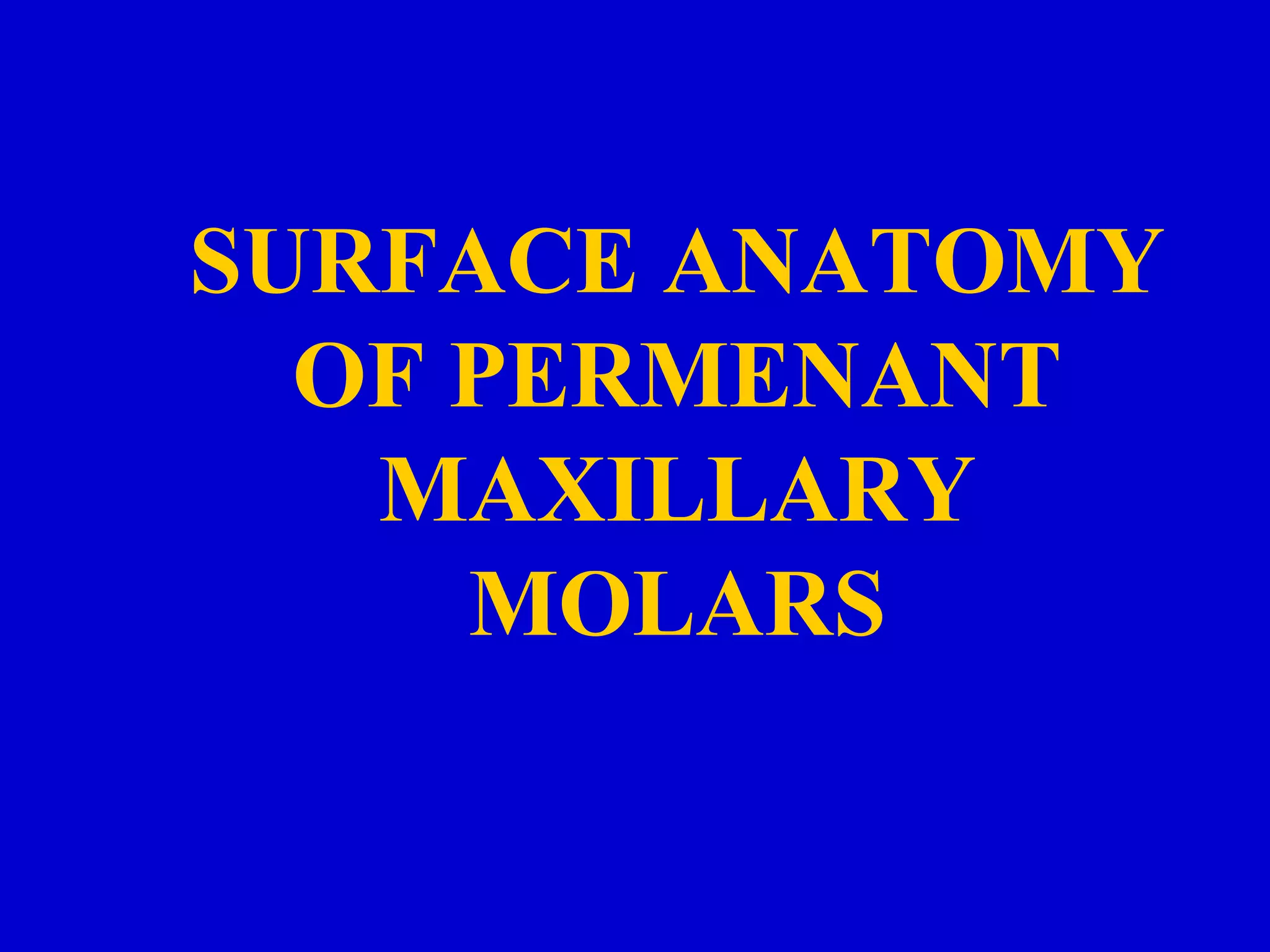 05. Maxillary Molars (Lecture) - Dentition | PPT