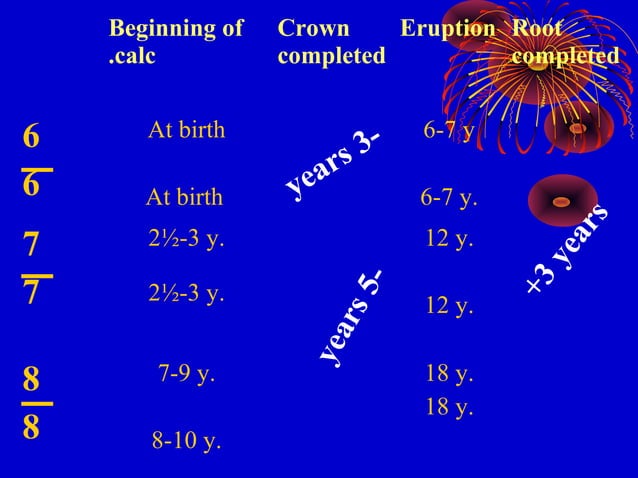 05. Maxillary Molars (Lecture) - Dentition | PPT