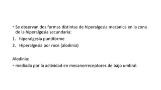 1 mecanispos perifericos de la nocicepcion | PPTX