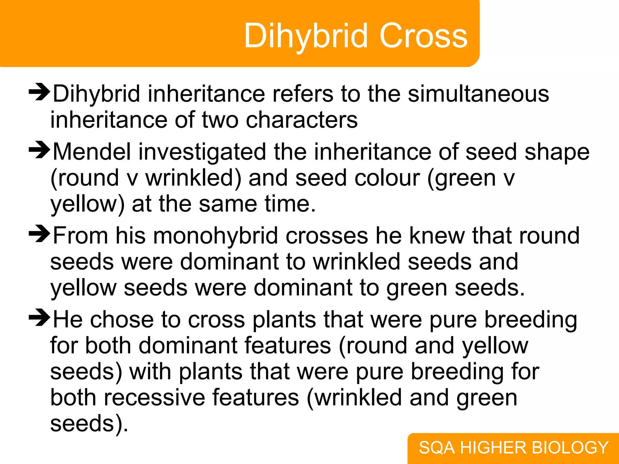 1. Meiosis And Dihybrid Cross | PPT