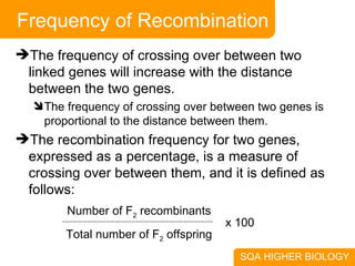 1. Meiosis And Dihybrid Cross | PPT