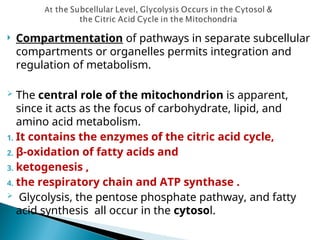 1 - Metabolism.pptvvyvyvvyvyuvyvvvyvyvyu | PPT