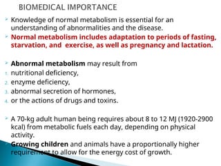 1 - Metabolism.pptvvyvyvvyvyuvyvvvyvyvyu | PPT