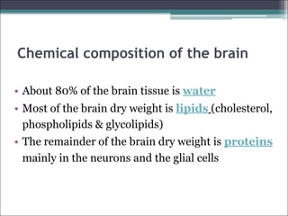 1- metabolism of the brain (I) 2012-13.pdf