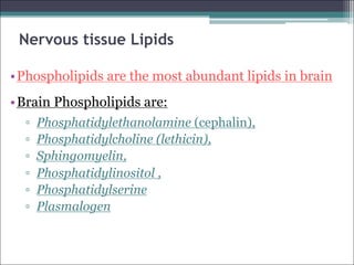 1- metabolism of the brain (I) 2012-13.pdf