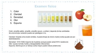 1-metodos-basicos-de-estudio-y-diagnostico-renales.pptx