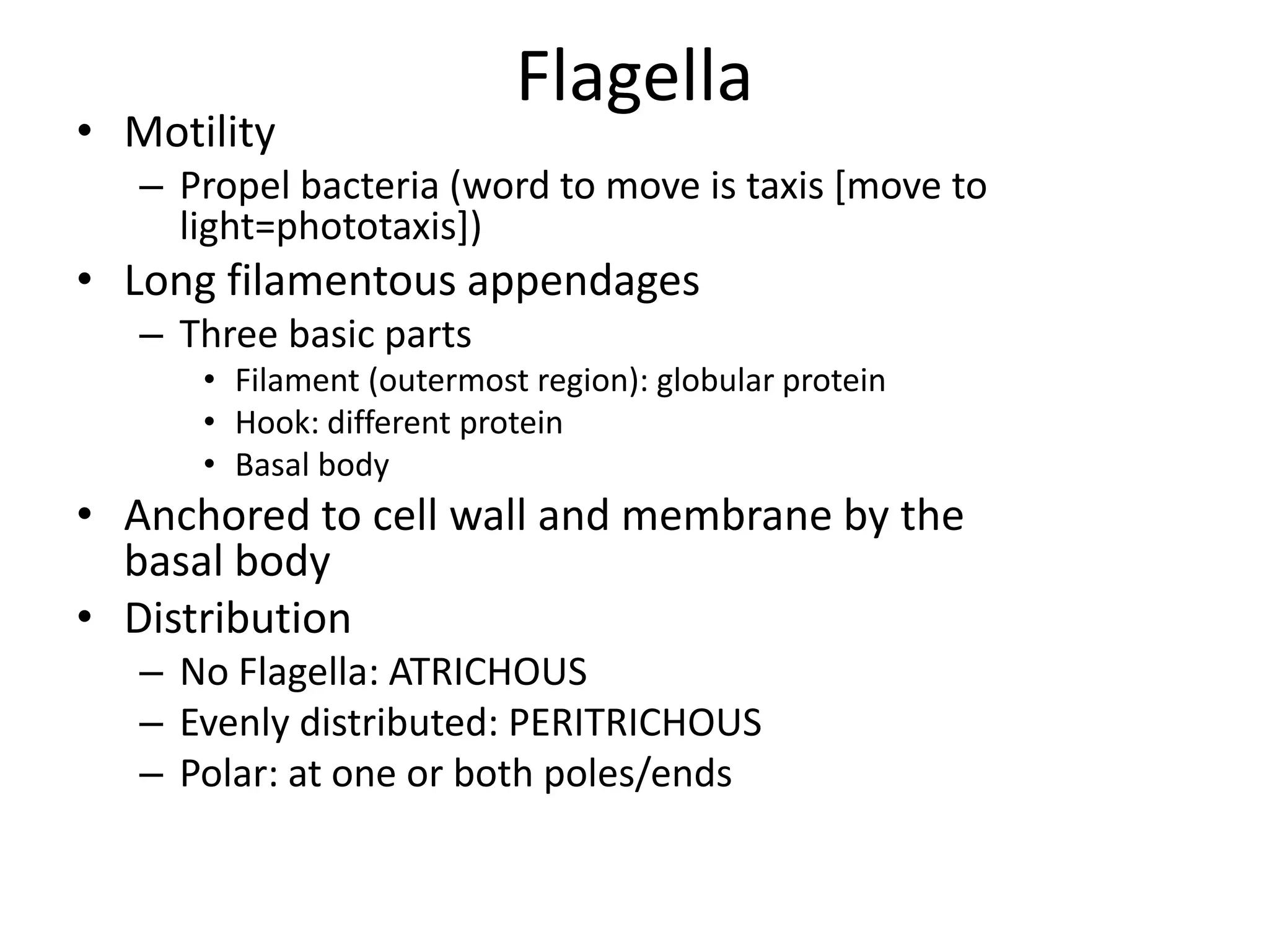 1 - Microbial World and Prokaryotic Cell Anatomy | PPTX