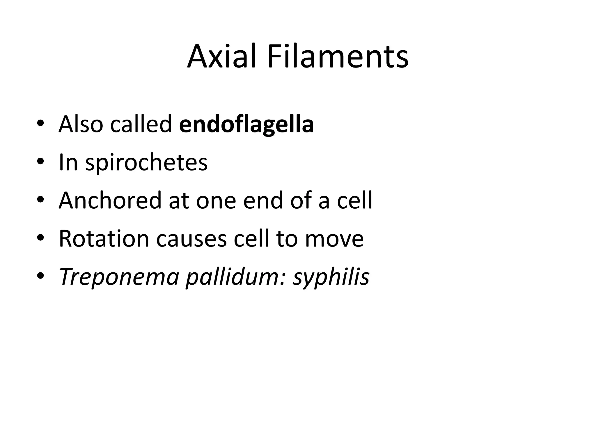 1 - Microbial World and Prokaryotic Cell Anatomy | PPTX