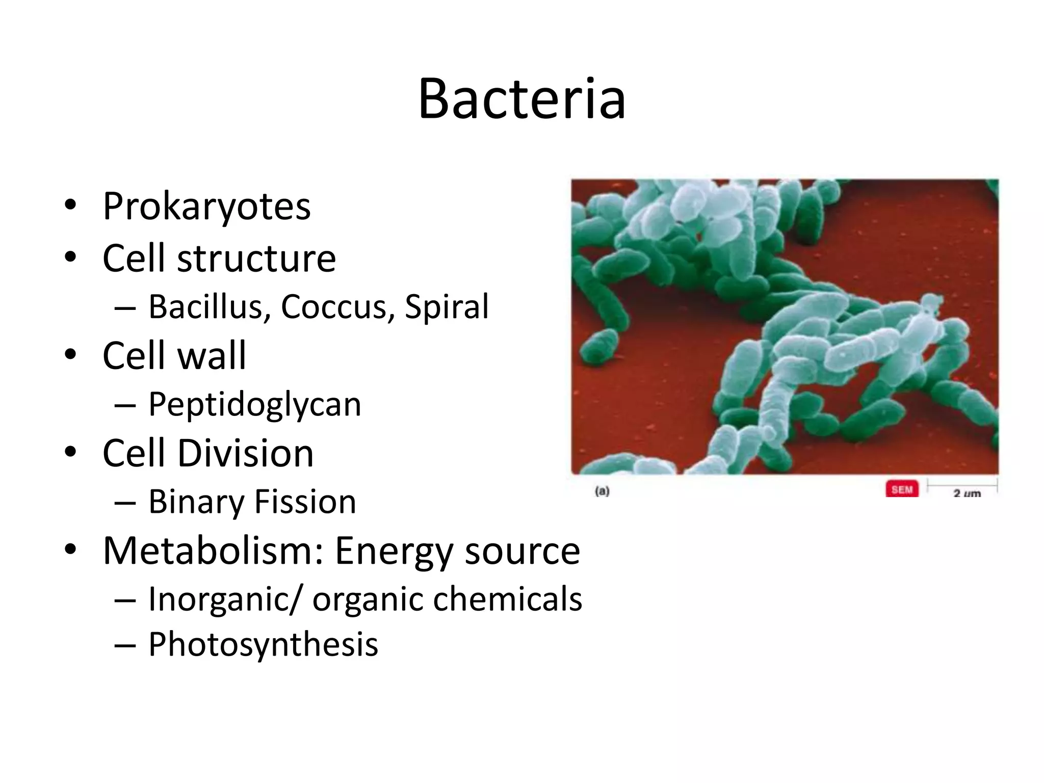 1 - Microbial World and Prokaryotic Cell Anatomy | PPTX