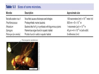 1 - content: MICROBIOLOGY an Introduction.pptx