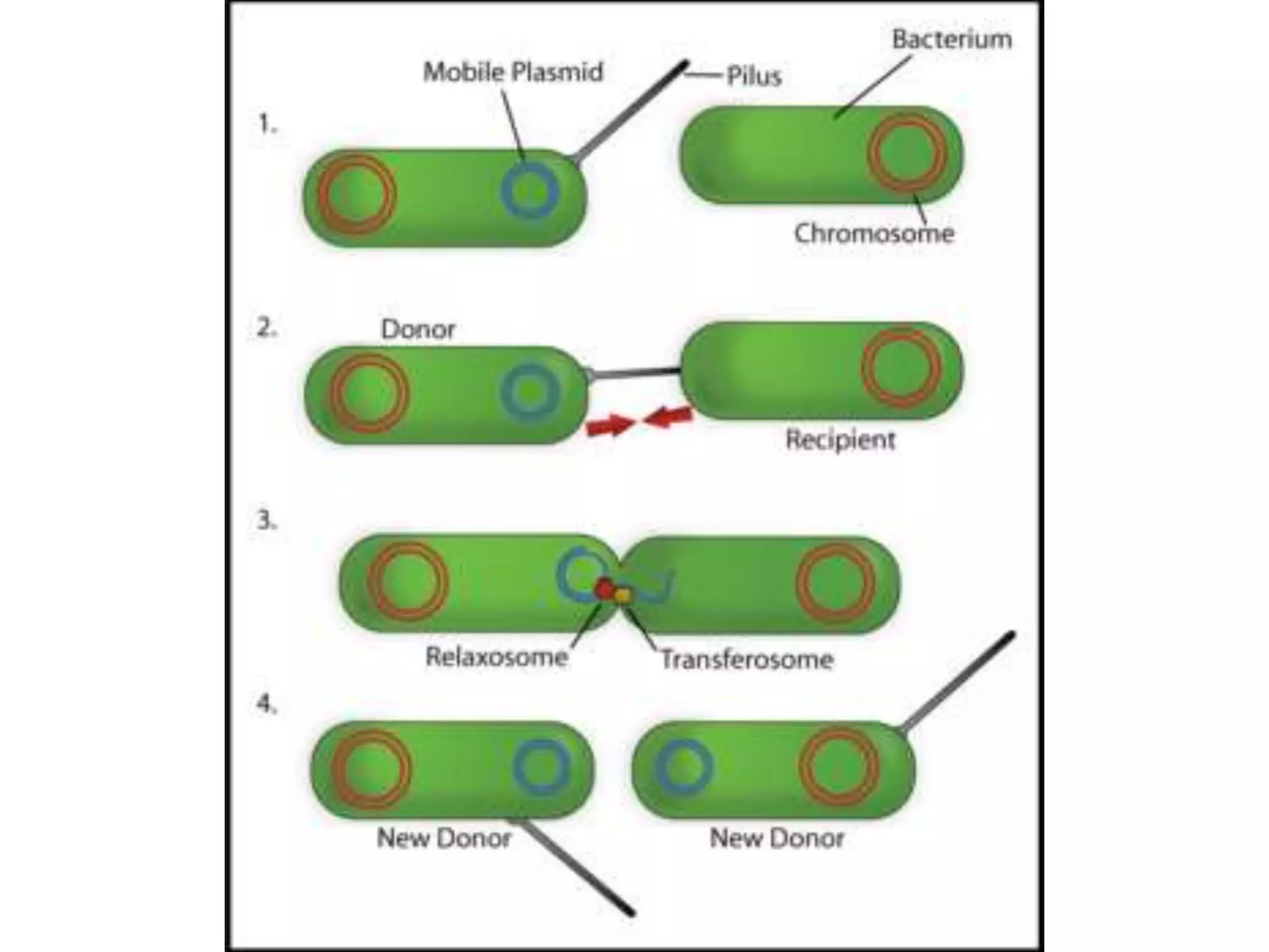 SCIENCE FORM5: CHAPTER 1 | PPTX