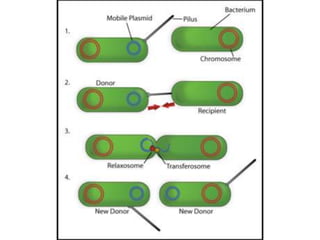 SCIENCE FORM5: CHAPTER 1 | PPTX