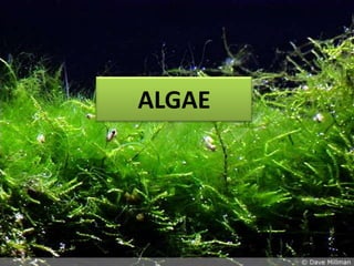 SCIENCE FORM5: CHAPTER 1 | PPTX