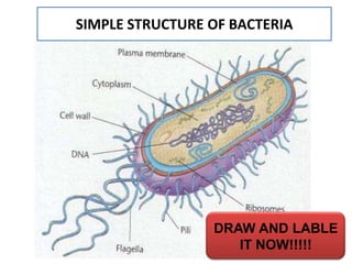 SCIENCE FORM5: CHAPTER 1 | PPTX
