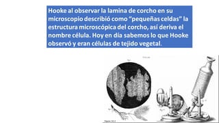 1 microscopio-aportes-y-teoria (2) | PDF