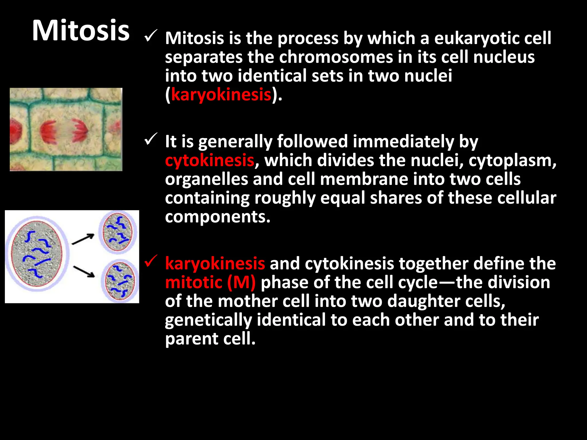 1-mitosis-genetics-cytogenetics-cell.pptx