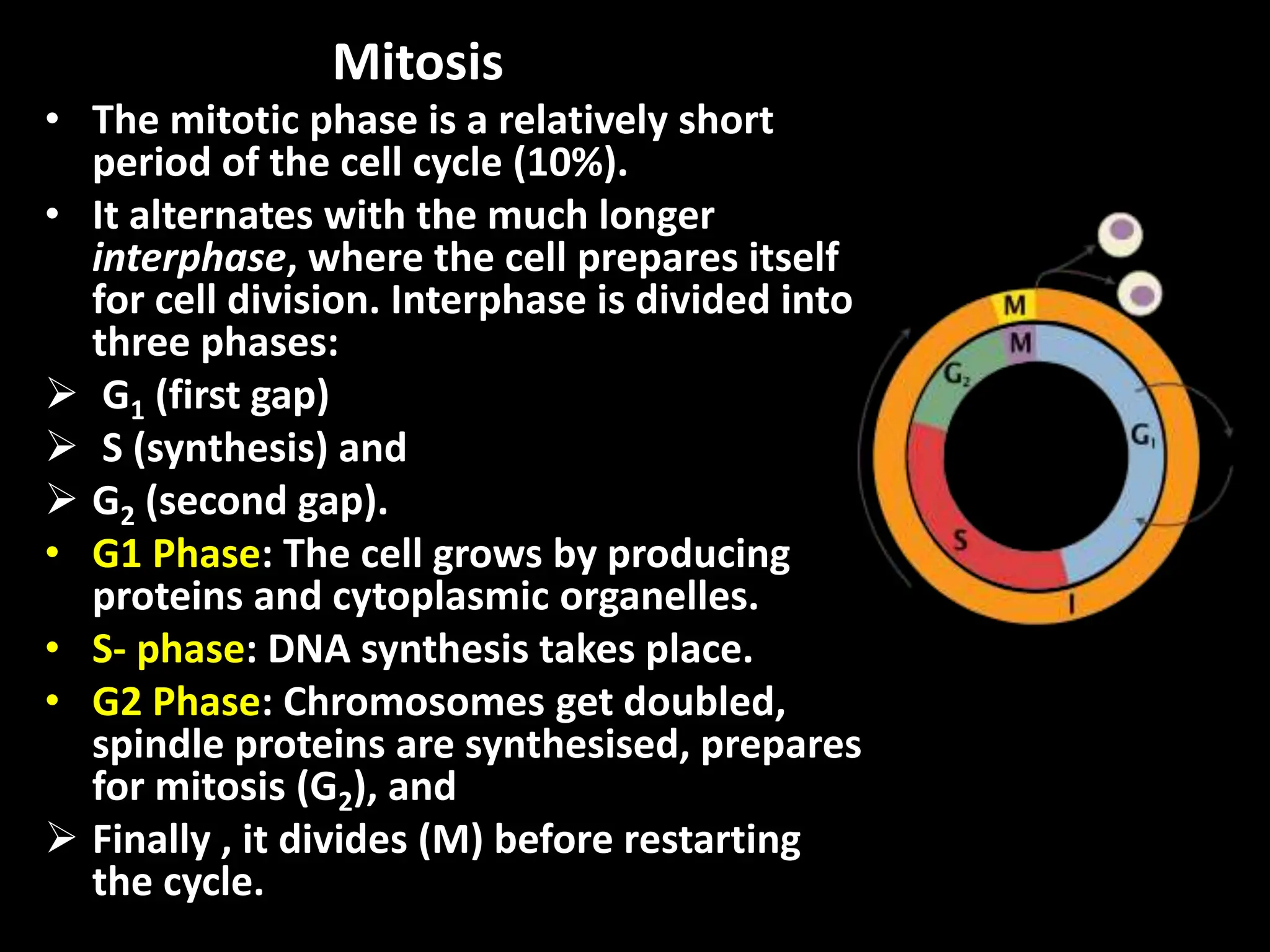 1-mitosis-genetics-cytogenetics-cell.pptx