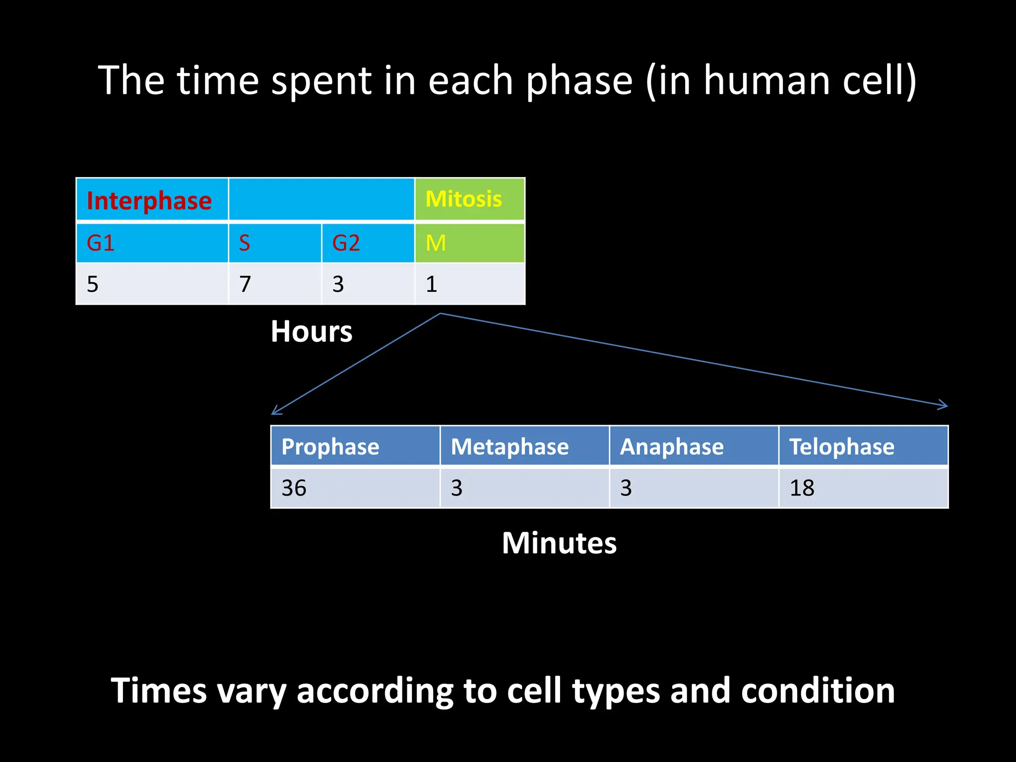 1-mitosis-genetics-cytogenetics-cell.pptx
