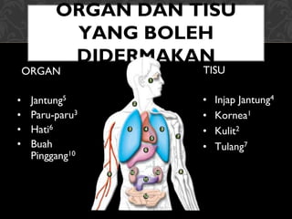 1 - Modul 1 Tak kenal maka tak tahu- LAILA edit.pptx