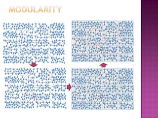 Modularity | By Amir Yousefi | PPTX