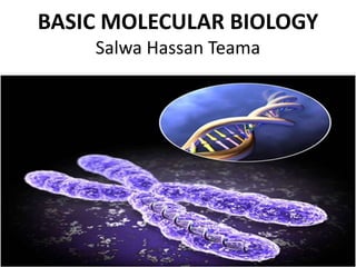 BASIC MOLECULAR BIOLOGY.pptx