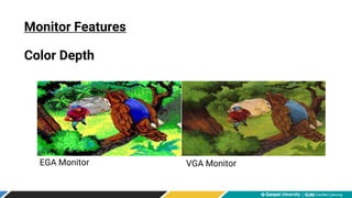 MONITOR | PPTX | Computer Peripherals | Computing