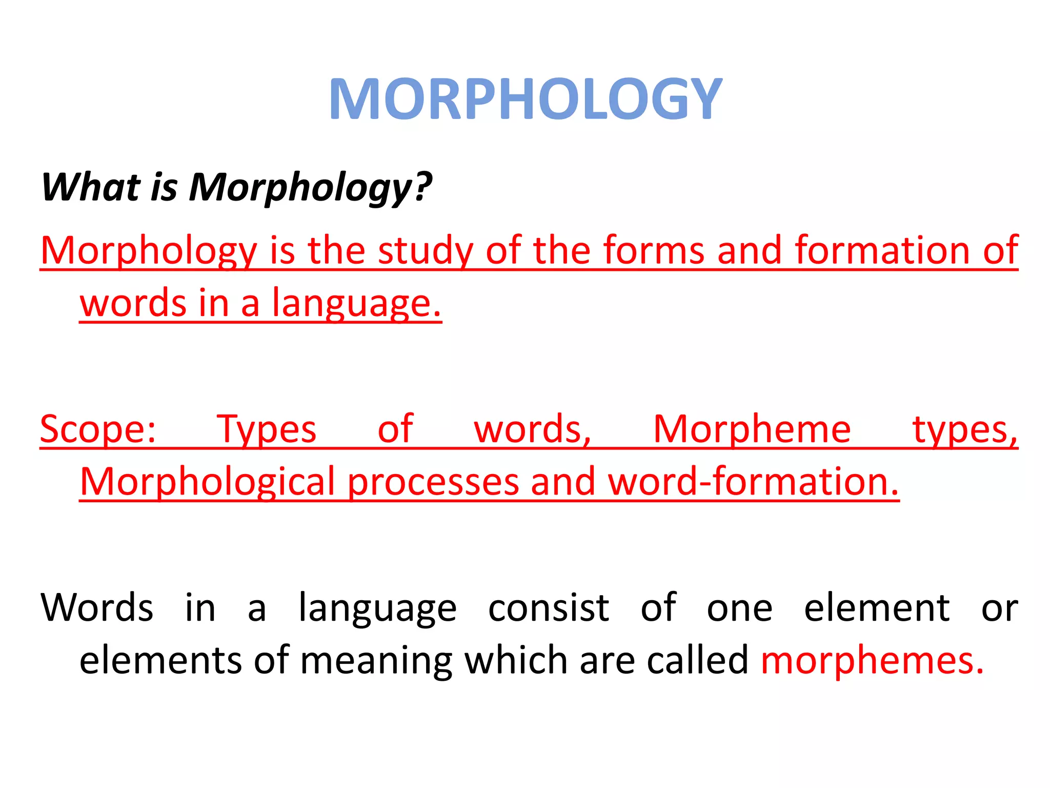 Morphology introduction | PPT
