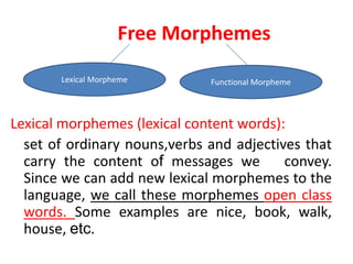 Morphology introduction | PPT