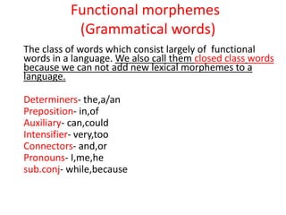 Morphology introduction | PPT