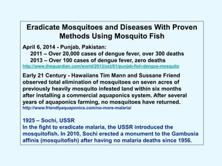 1-Mosquito-Elimin.ppt