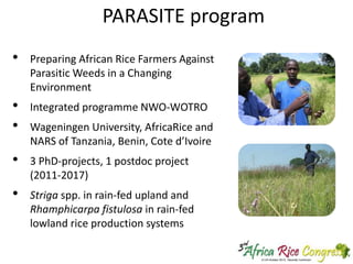 Th1_PARASITE – a research program to support the African rice sector in ...